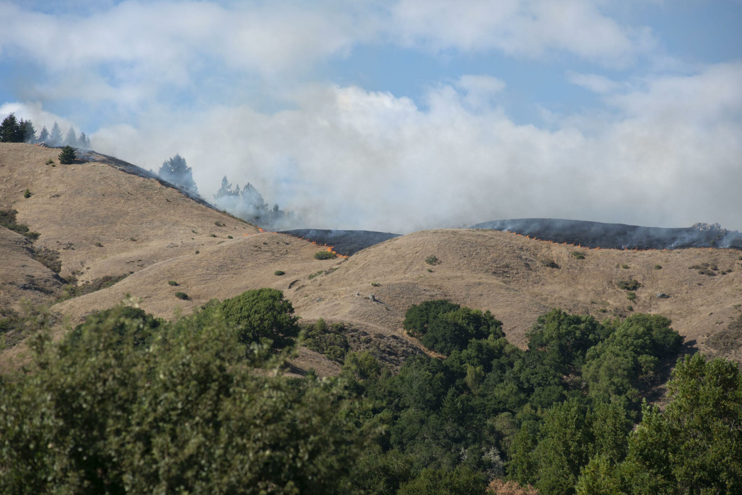 Man burning belongings starts Woodacre vegetation fire - Point Reyes Light