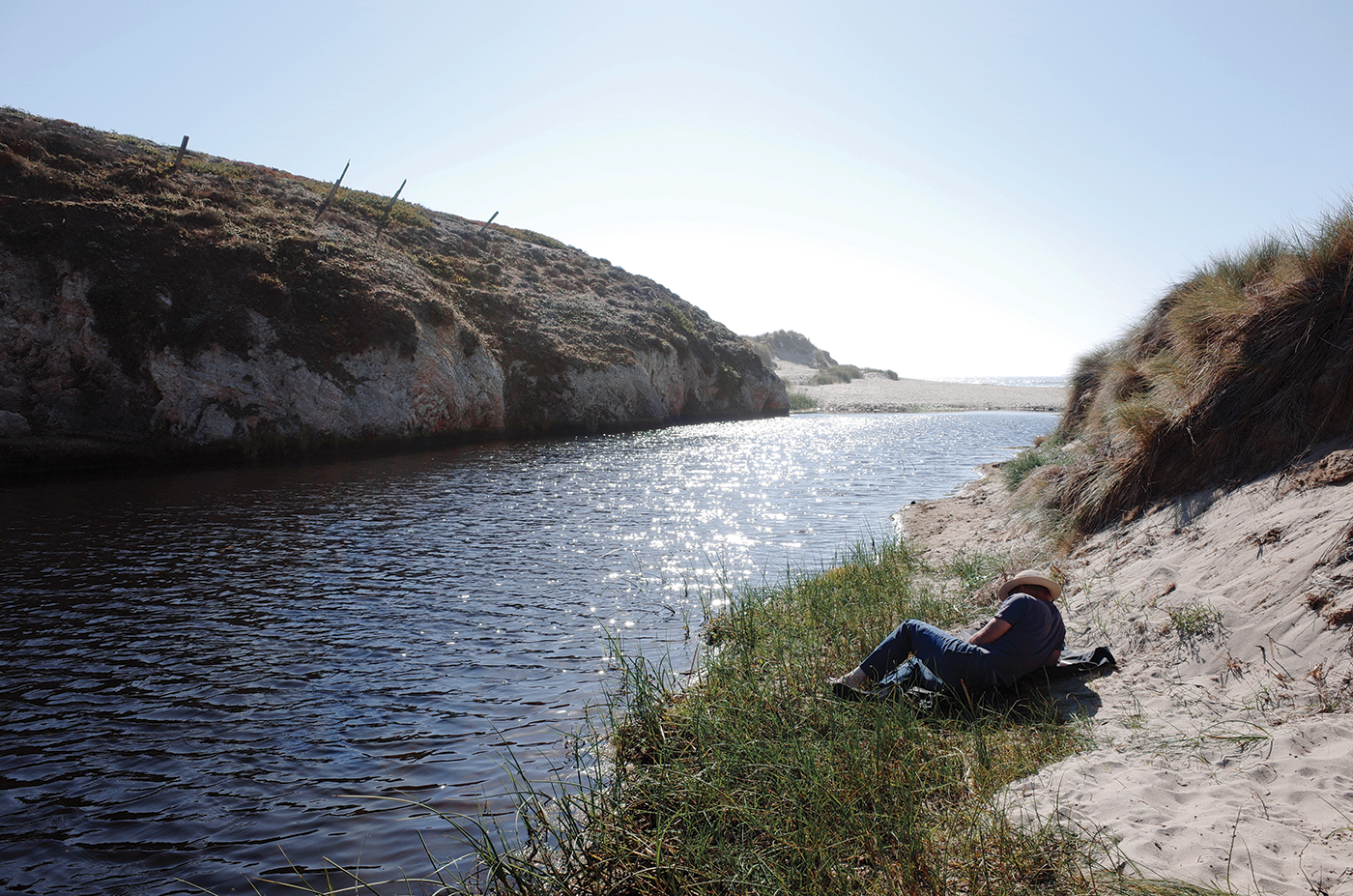 Water tests put pressure on seashore - Point Reyes Light