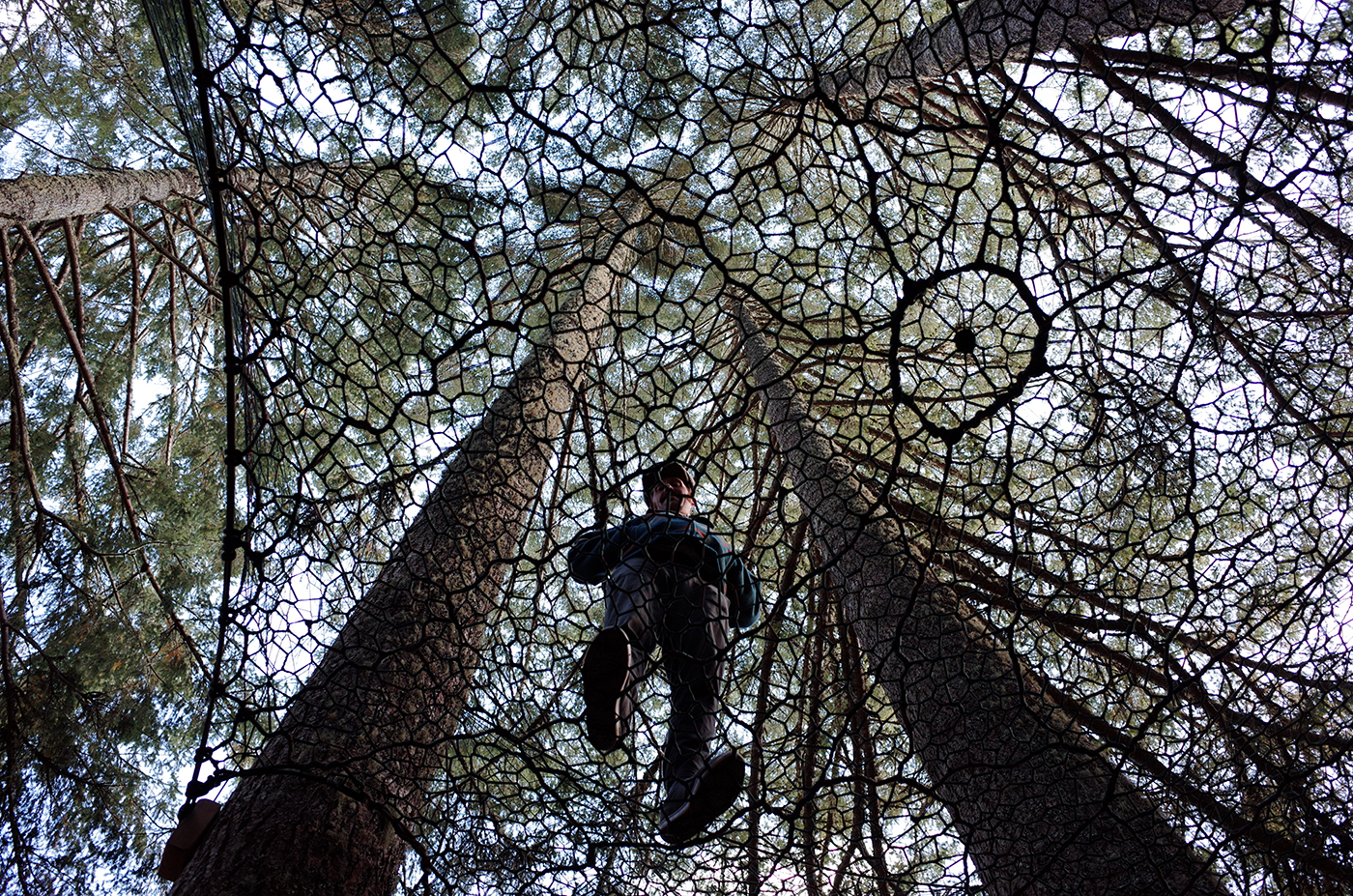 Lagunitas man weaves psychedelic tree nets - Point Reyes Light