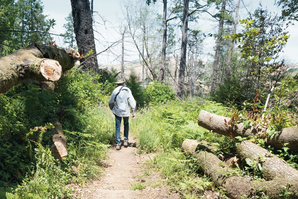 Park crews choose hand tools on trails - Point Reyes Light