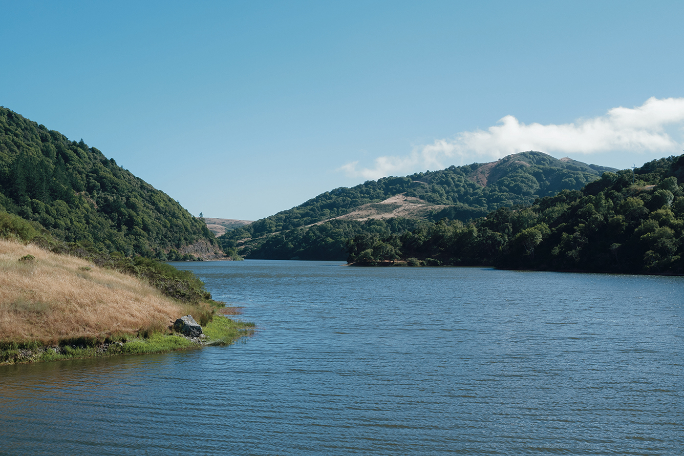Ranchers decry reservoir expansion plan - Point Reyes Light