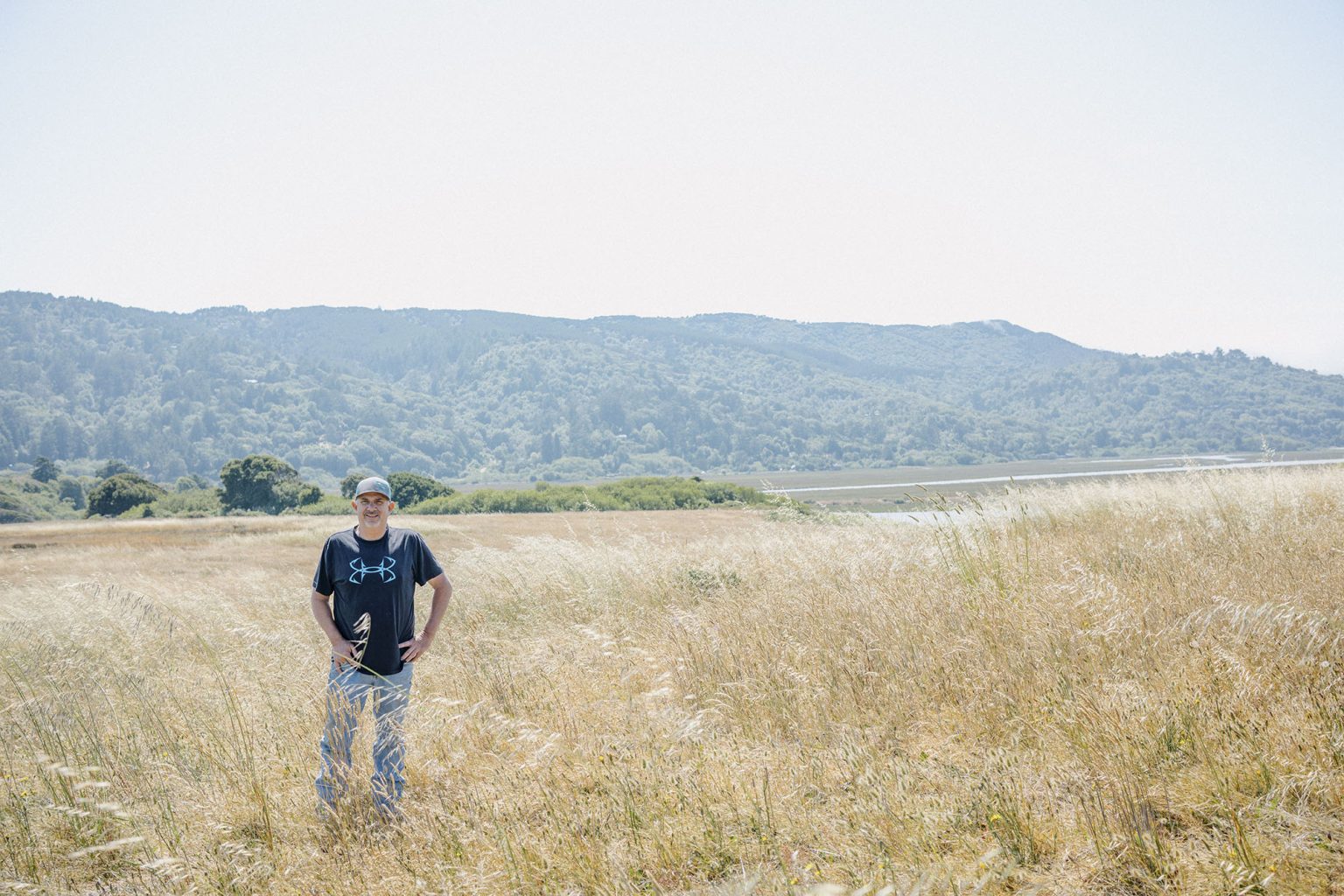 Cows to return to old Point Reyes pasture - Point Reyes Light
